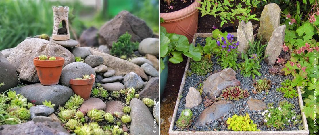 Een rotstuin aanleggen: tips voor planning, ontwerp en verzorging ...