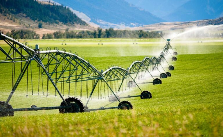 Irrigatie: Geschiedenis, voordelen en nadelen - Agri World