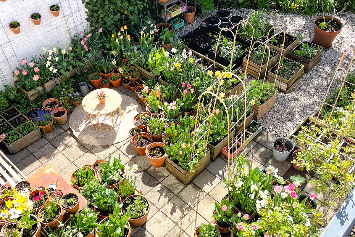 Groente en fruit eten uit de mini-moestuin (2) - Agri World